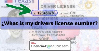 ¿What is my drivers license number? ️ 【2026