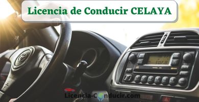 Licencia De Conducir Celaya пёџв гђђ2026 гђ Cita Renovar